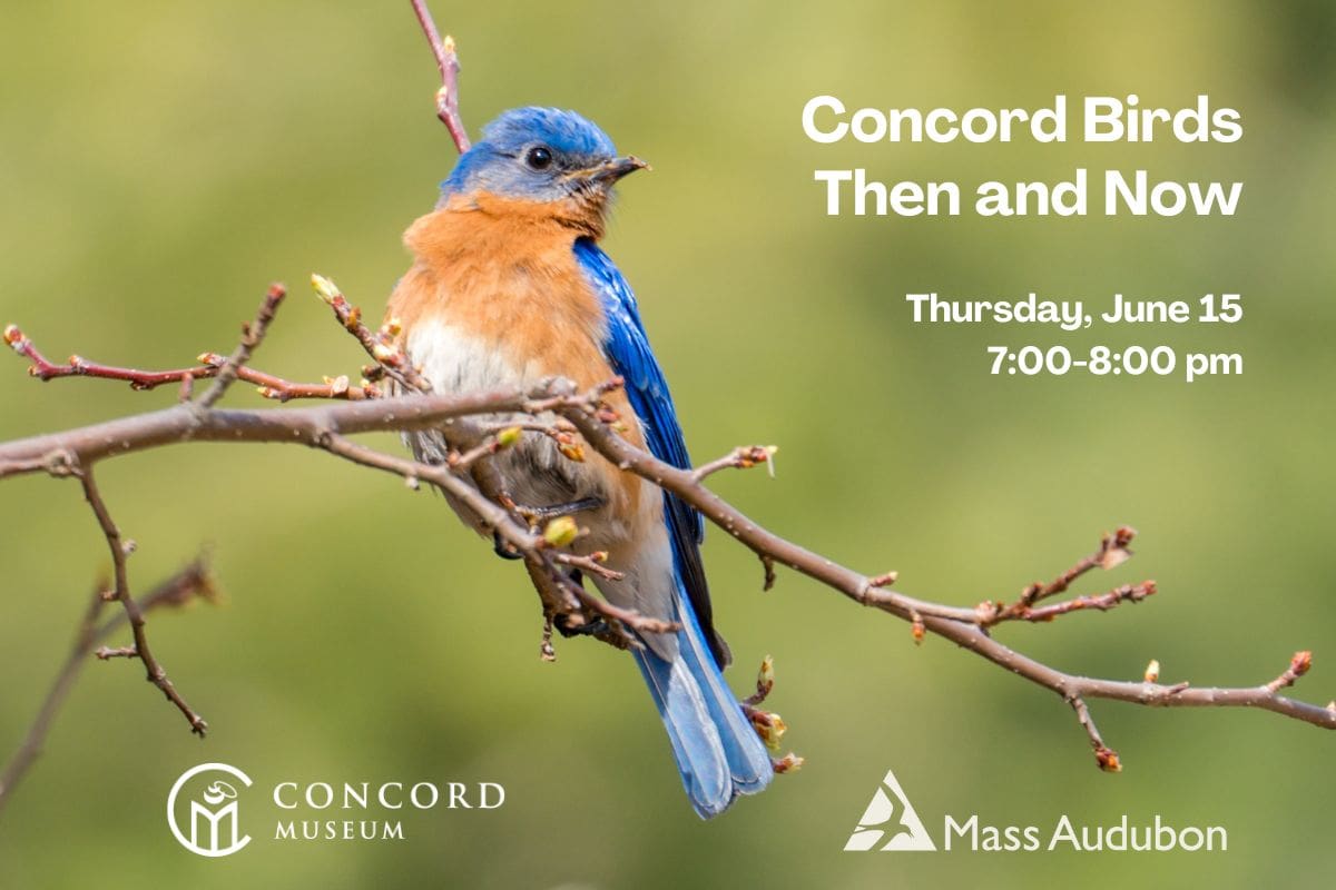 Concord Birds, Then and Now | Revolutionary Valley Regional Tourism Council