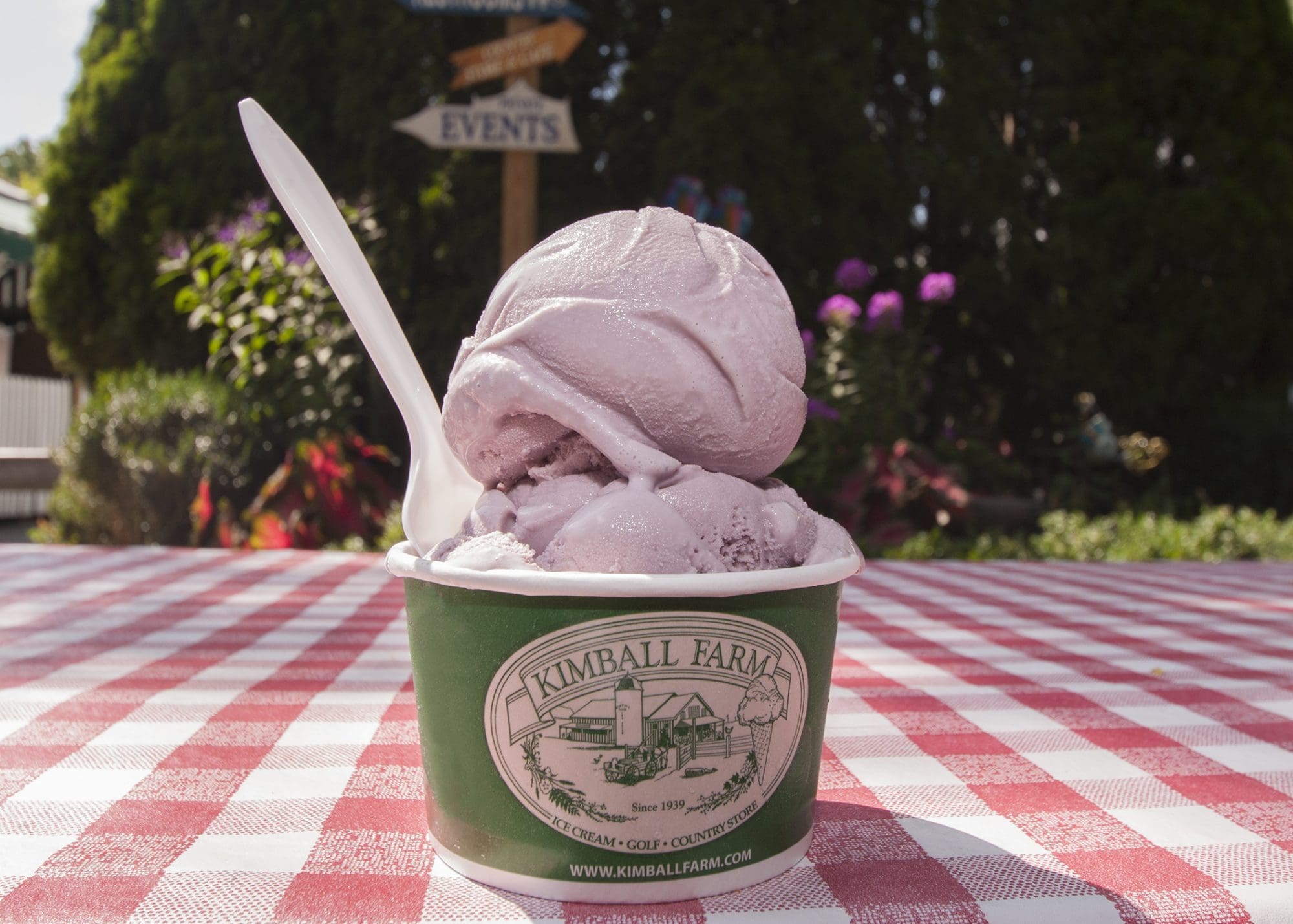 Visit Kimball Farm - Westford (Seasonal) | Revolutionary Valley ...