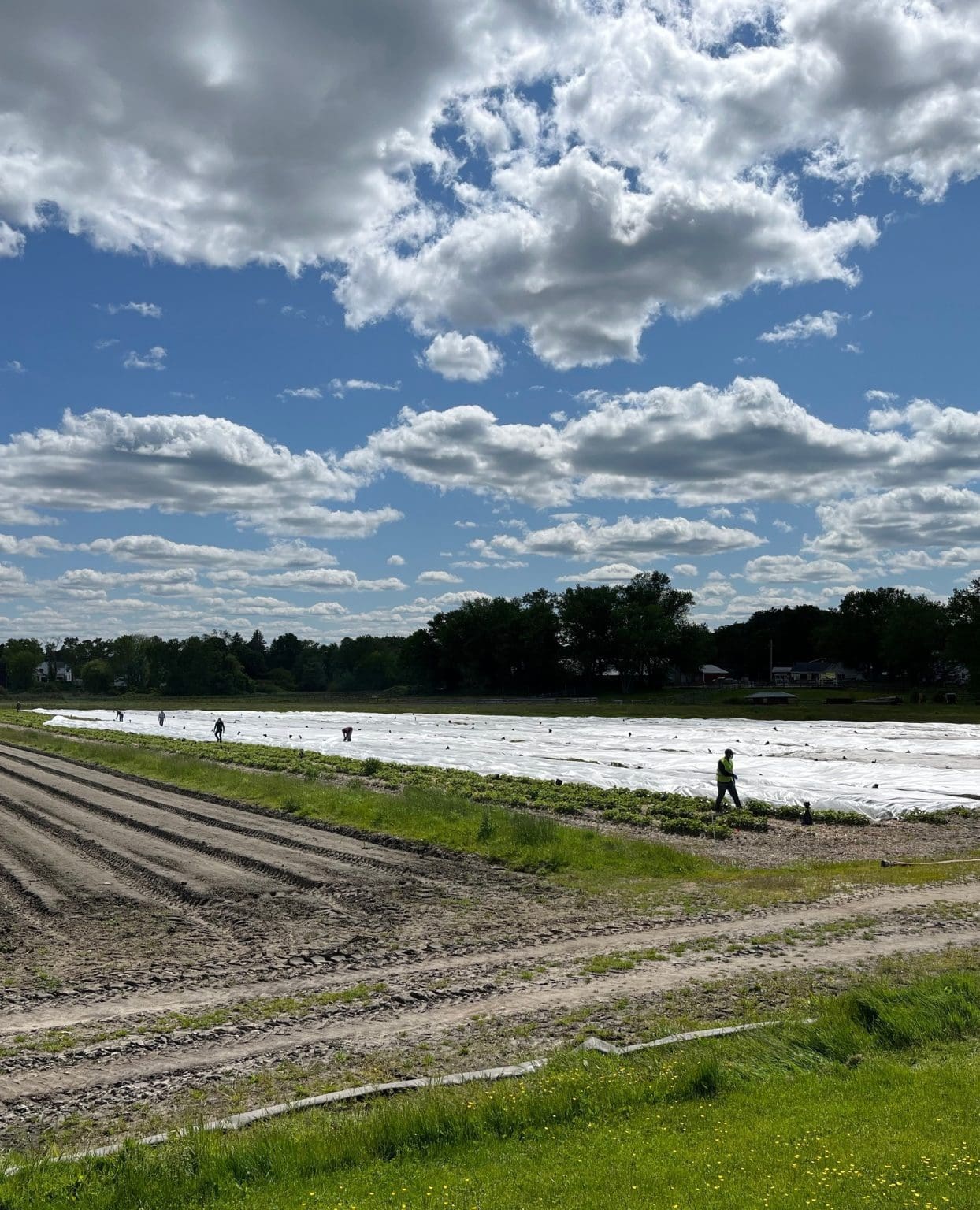 Visit Verrill Farm | Revolutionary Valley Regional Tourism Council
