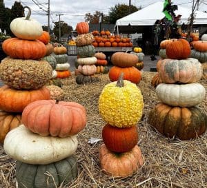 Visit Wilson Farm | Revolutionary Valley Regional Tourism Council