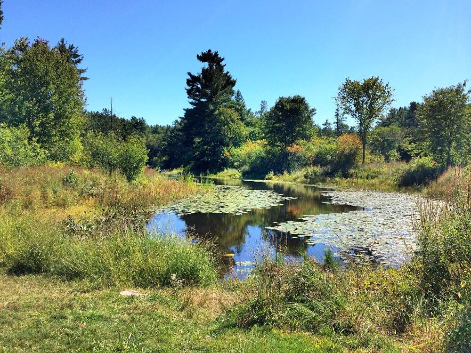 Visit Great Brook Farm State Park | Revolutionary Valley Regional ...