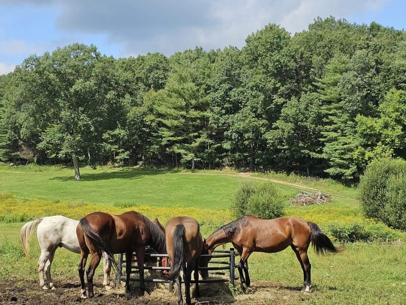 Visit Good Pickin' Farm | Revolutionary Valley Regional Tourism Council
